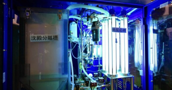 Light for purification