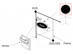 Face Detection Sensor Module